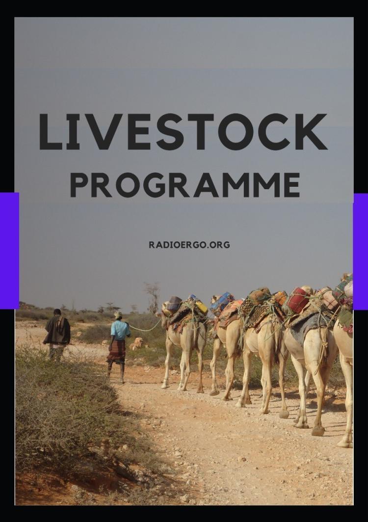 Radio Ergo English - Radio Ergo - Somali Humanitarian News and Information